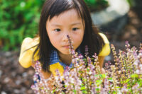 Our Programme | Skool4Kidz